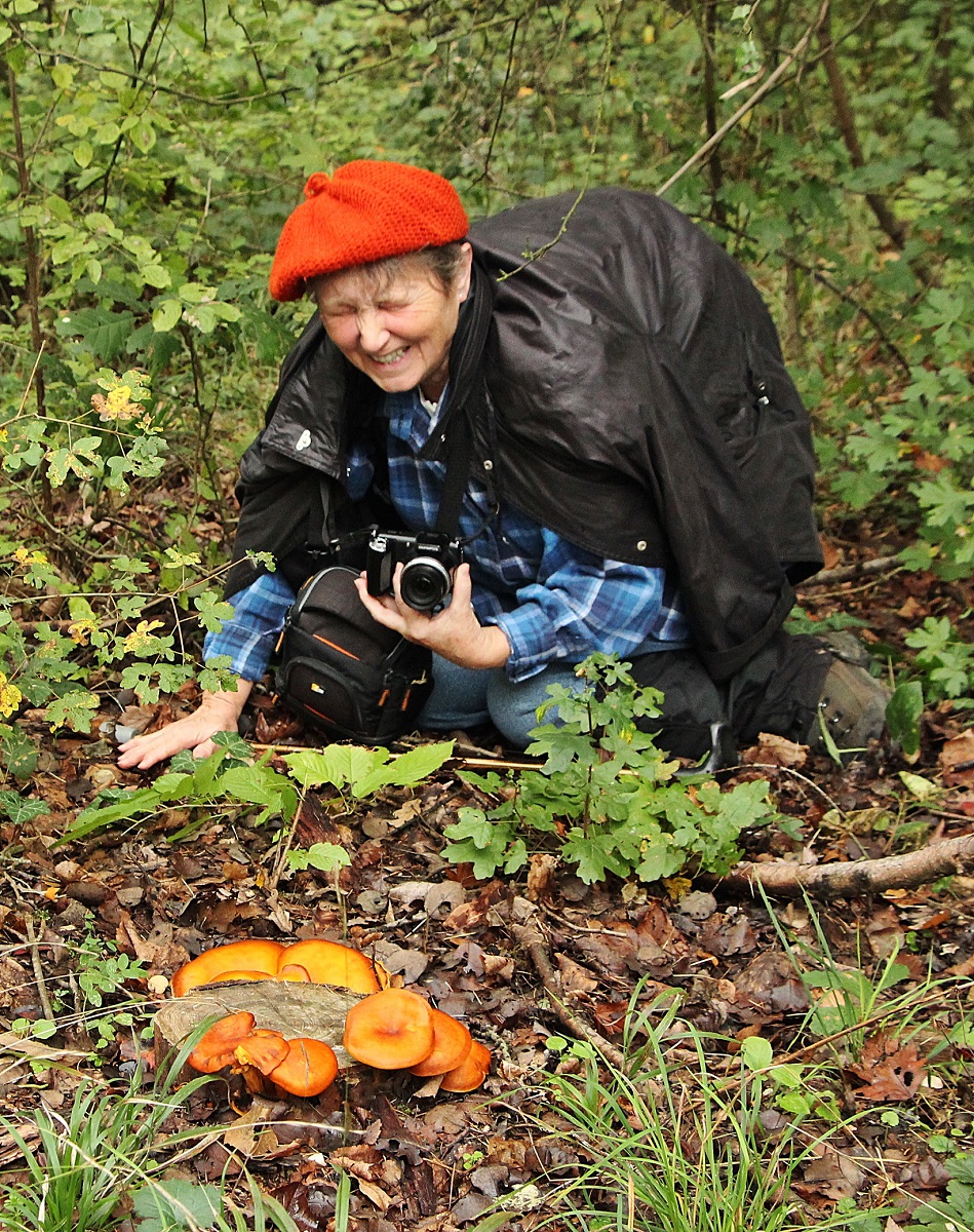 116 Jajj, a térdem! | IBUSZ Természetjáró Egyesület